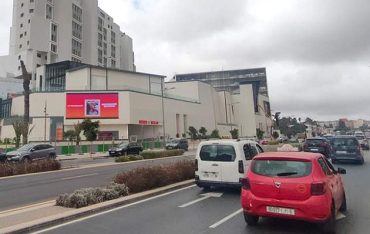 Palmeraie Large Format Digital Screen | Casablanca Collection ...